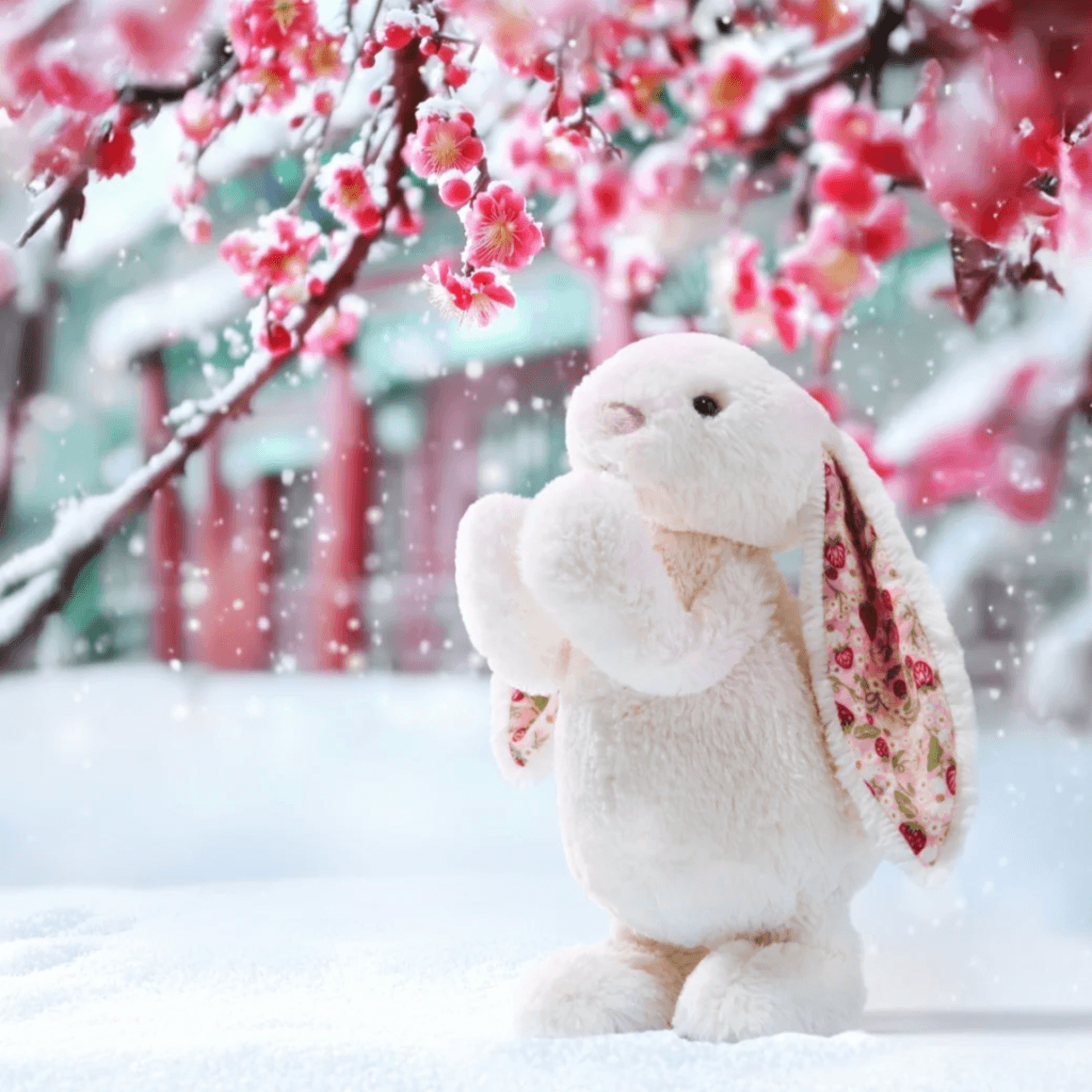 Jellycat Bunnies & Rabbits | Plush & Adorable Expression – OCARE NZ
